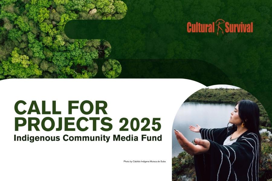 Opportunities | Cultural Survival